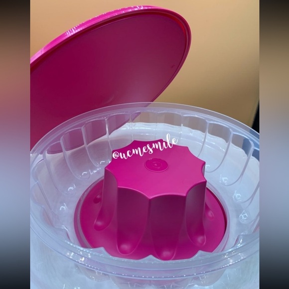 Tupperware | Kitchen | Tupperware Jello Jelring Mold In Pink | Poshmark